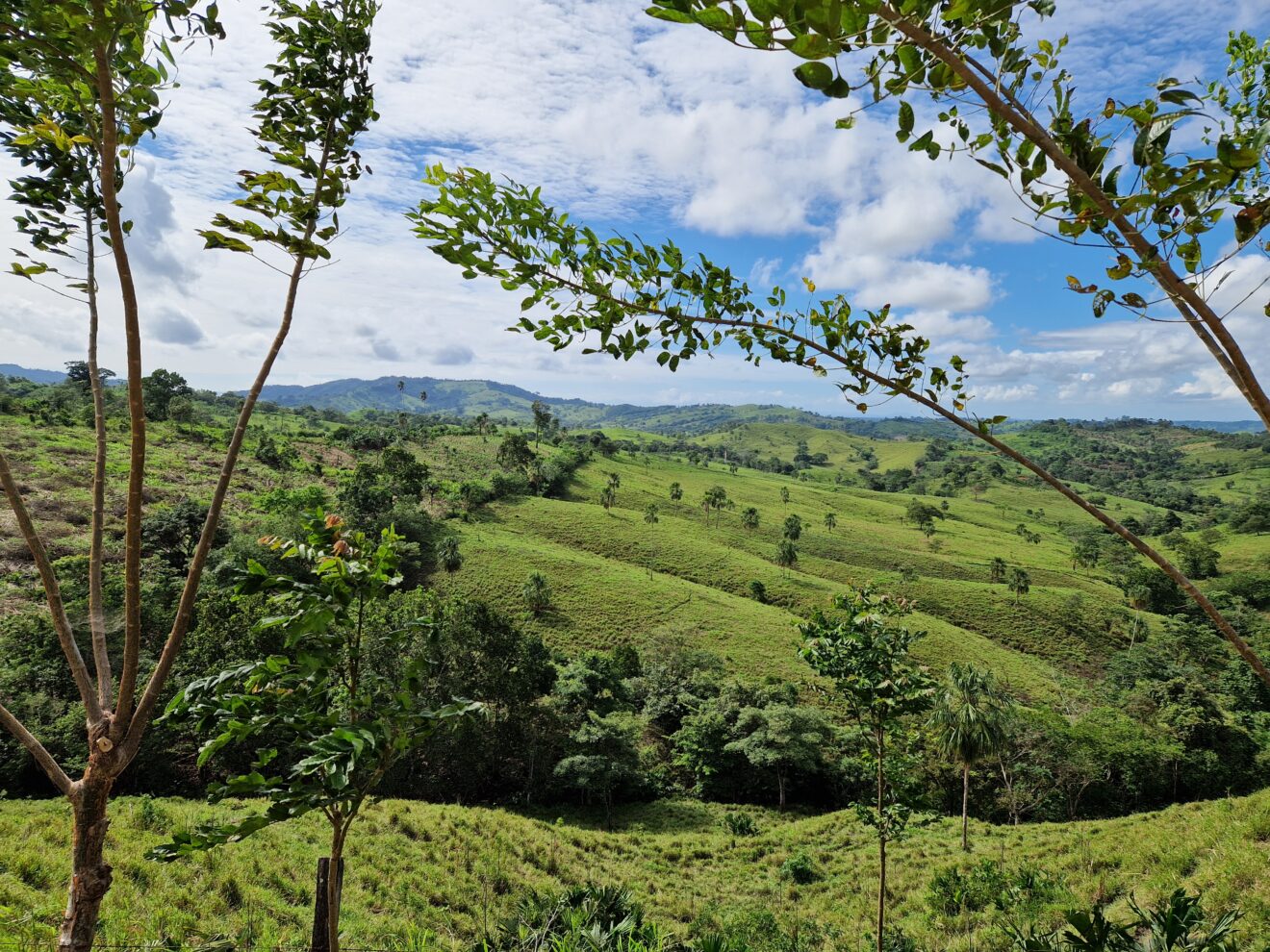 Finnfund’s USD 10 million investment makes telecommunications in ...